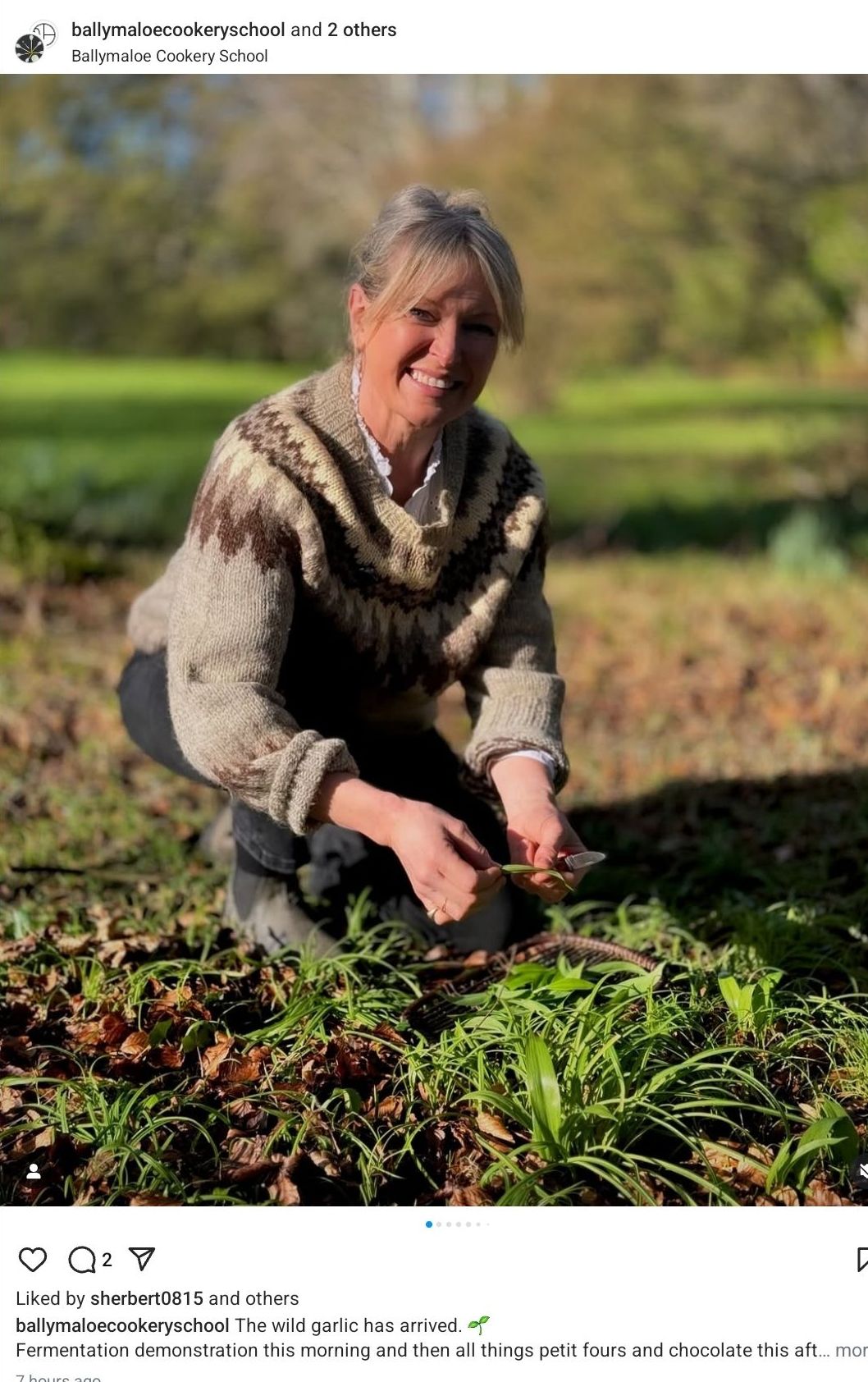 Rachel Allen: The wild garlic has arrived.. @ballymaloecookeryschool ...