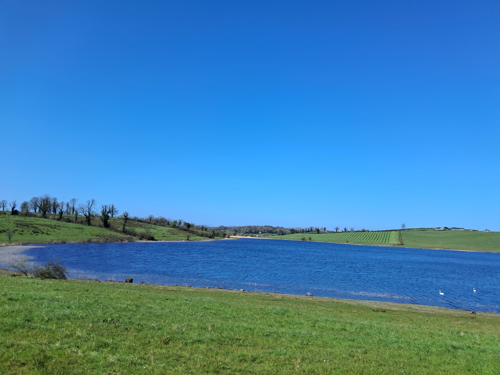 No Pressure Whatsoever 🇮🇪 😎 – Foodaware