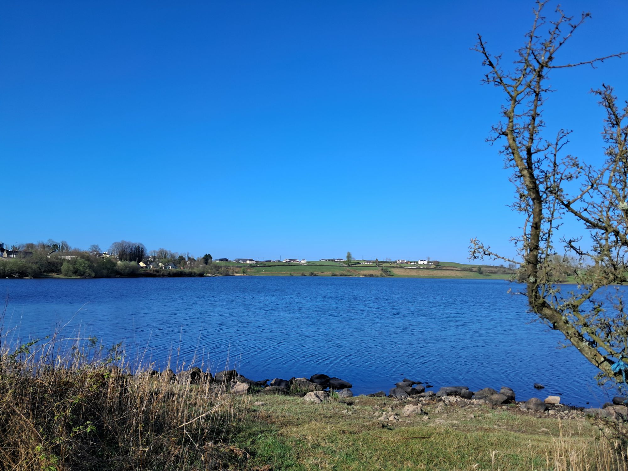 Like right beside a lake in Cavan 🇮🇪 – Foodaware